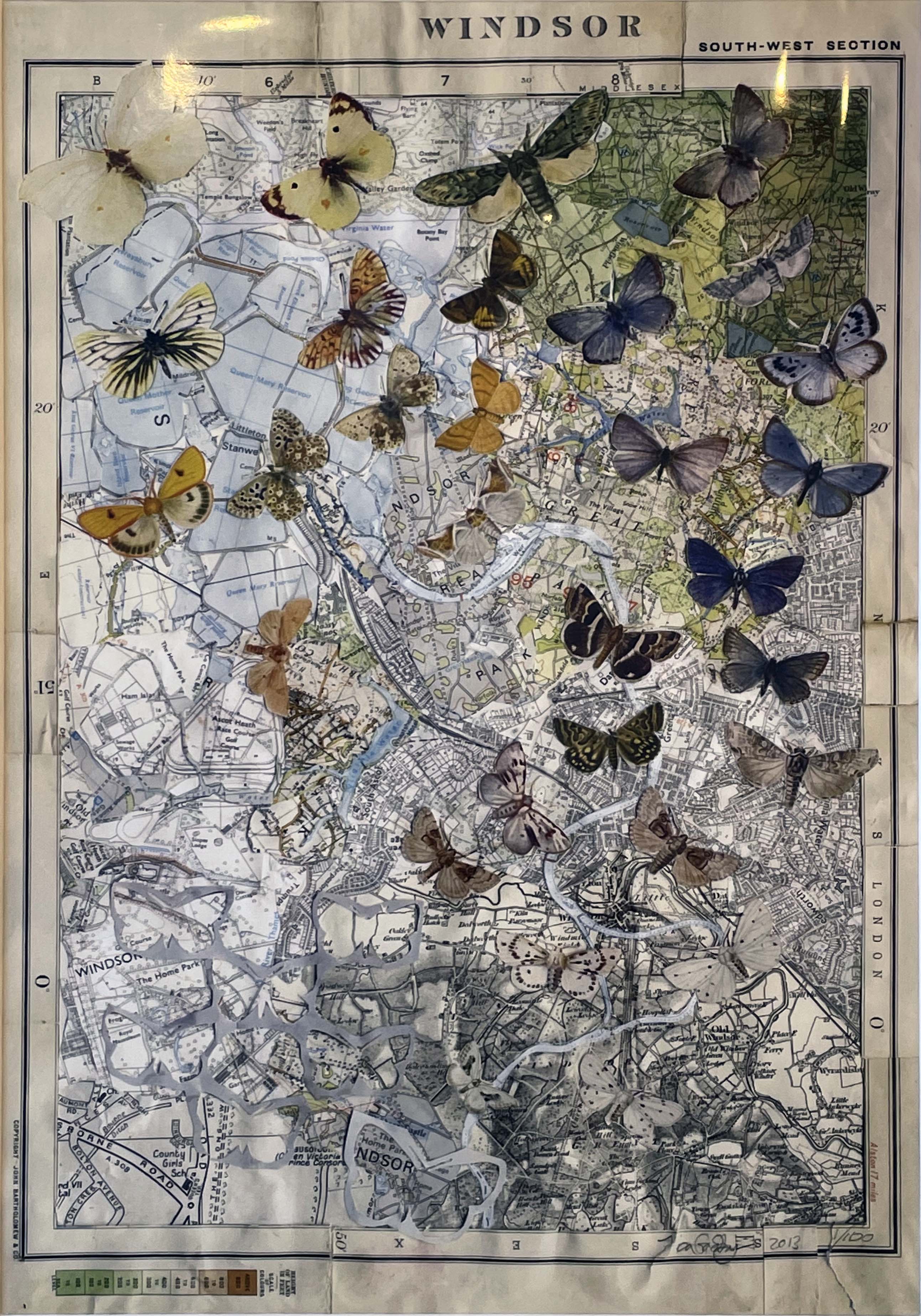 Jessica Gadsby - Windsor – The Gallery at Ice